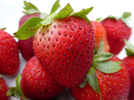 „Beeren“stark: „Ganz Deutschland sieht rot!" ‹ Fruchtportal